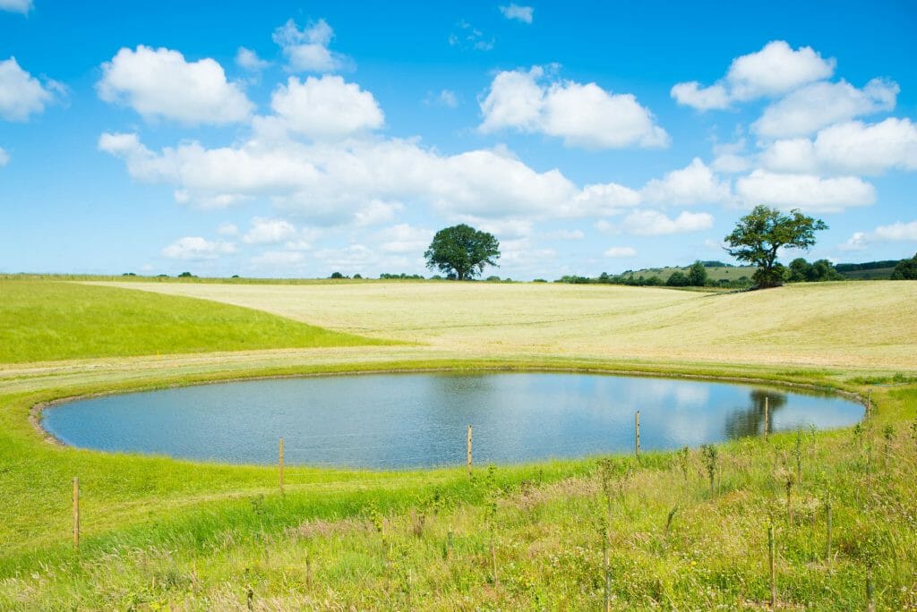 The Pond – Acorn Builders